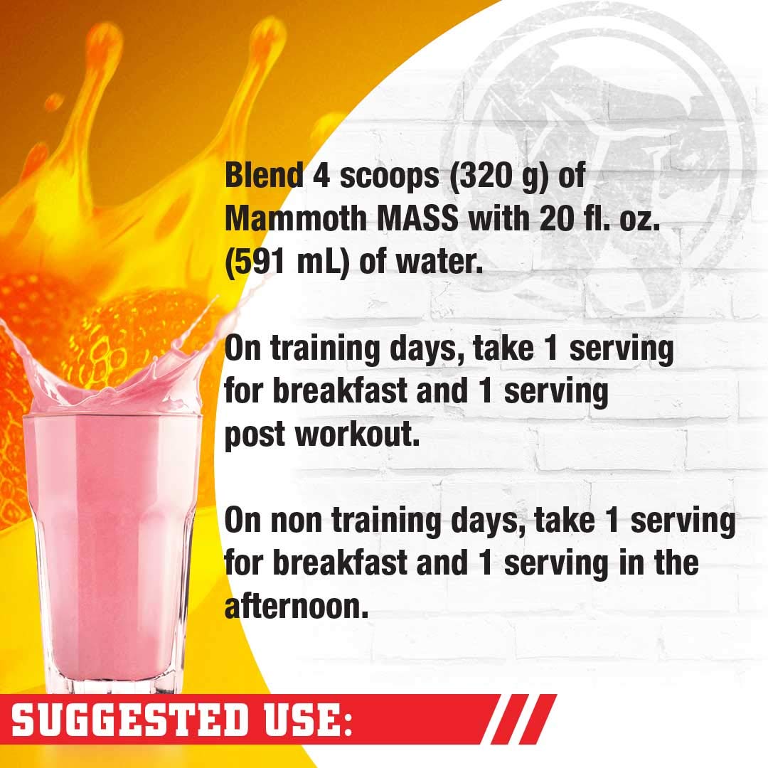 Snapklik.com : MAMMOTH Mass: Weight Gainer, High Calorie Protein Powder ...