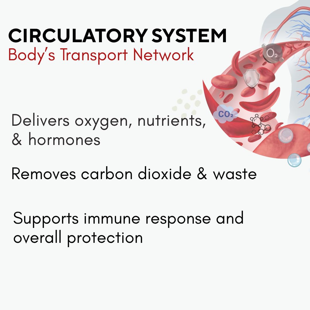 Snapklik.com : Bricker Labs OptiFlow Blood Circulation Vitamins ...