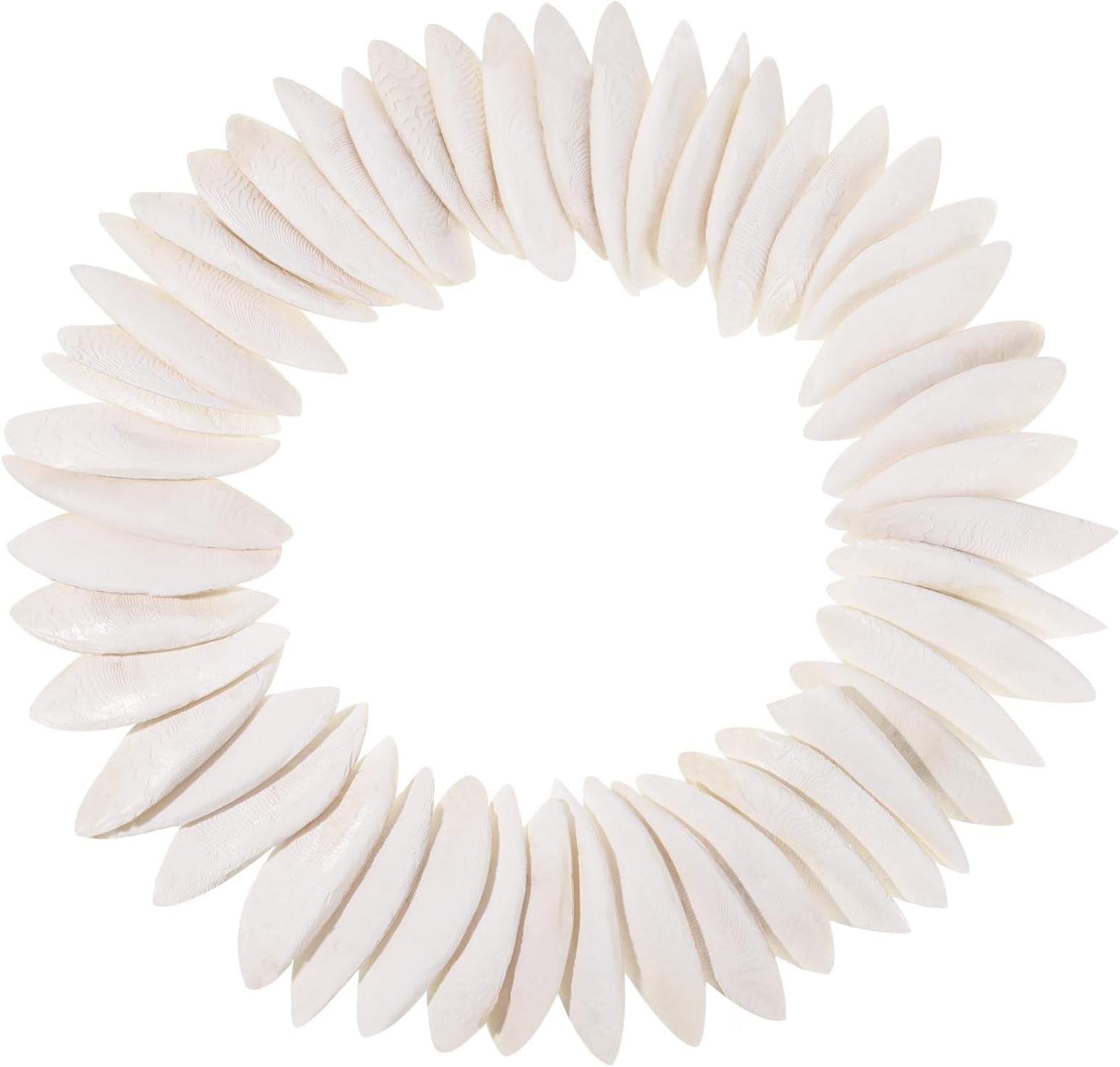 Amazon.com : Tinideya 50 Pcs Cuttlebone for Birds Chewing Cuttlefish ...