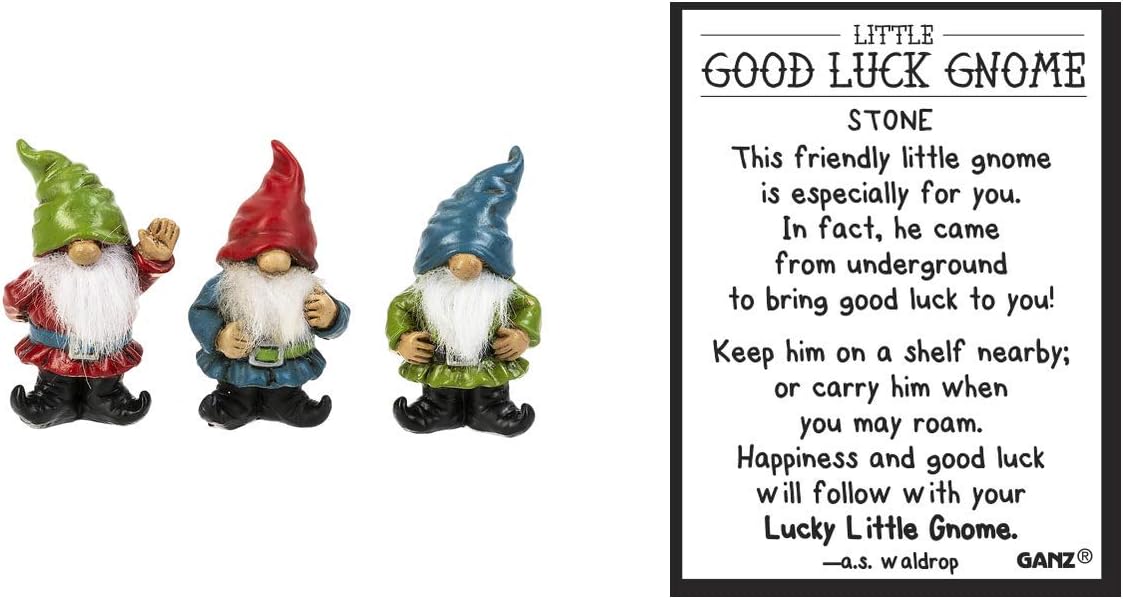 Amazon.com: Ganz Little Good Luck Gnome Stone Charm Pocket Token with ...