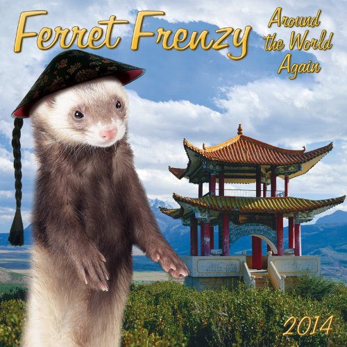 Ferret Frenzy 2014 Calendar: Zebra Publishing Corp.: 9781554566853 ...
