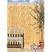 Papillon Thick Reed Bamboo Style Natural Garden Fence Screening Roll ...