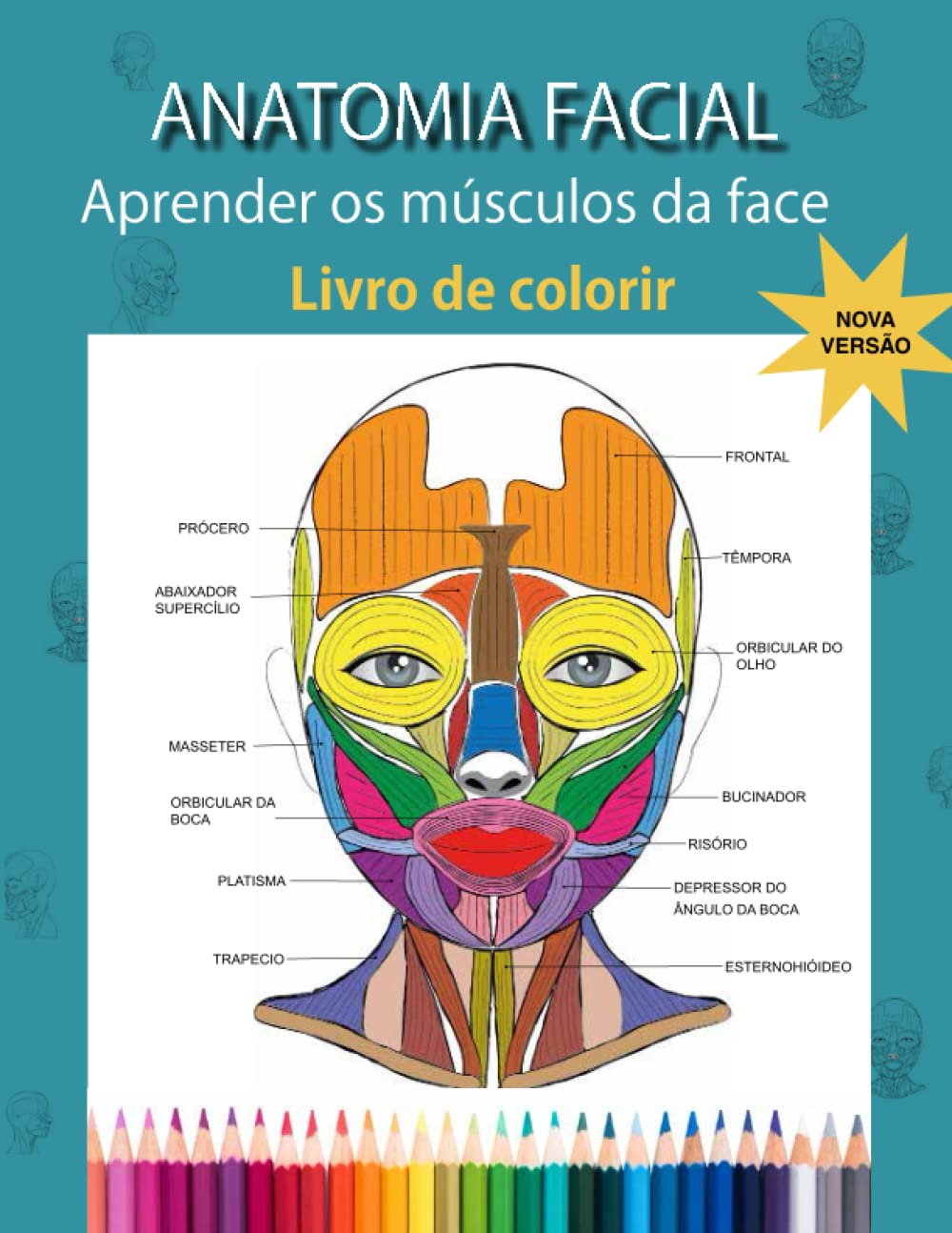 Músculos Da Face Anatomia Músculos Da Expressão Facial Parte 2