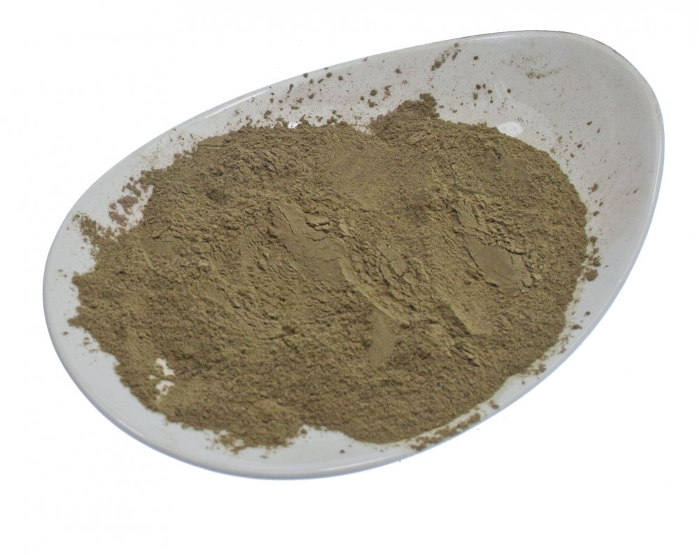 Amazon.com: SENA -Premium - Sanicle european herb powder- (500g ...