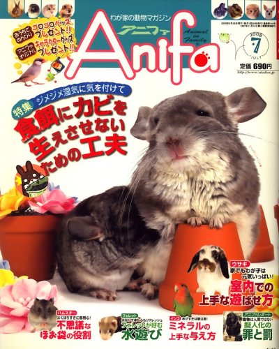 Anifa (アニファ) 2008年 07月号 [雑誌] : Amazon.es: Libros