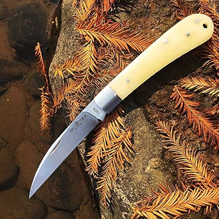 Amazon.com : Watchman Brother 1508BN VG10 Blade Knife Cow Bone Grips ...