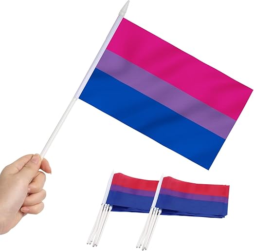 Amazon.com : Anley Bisexual Pride Mini Flag 12 Pack - Hand Held Small ...