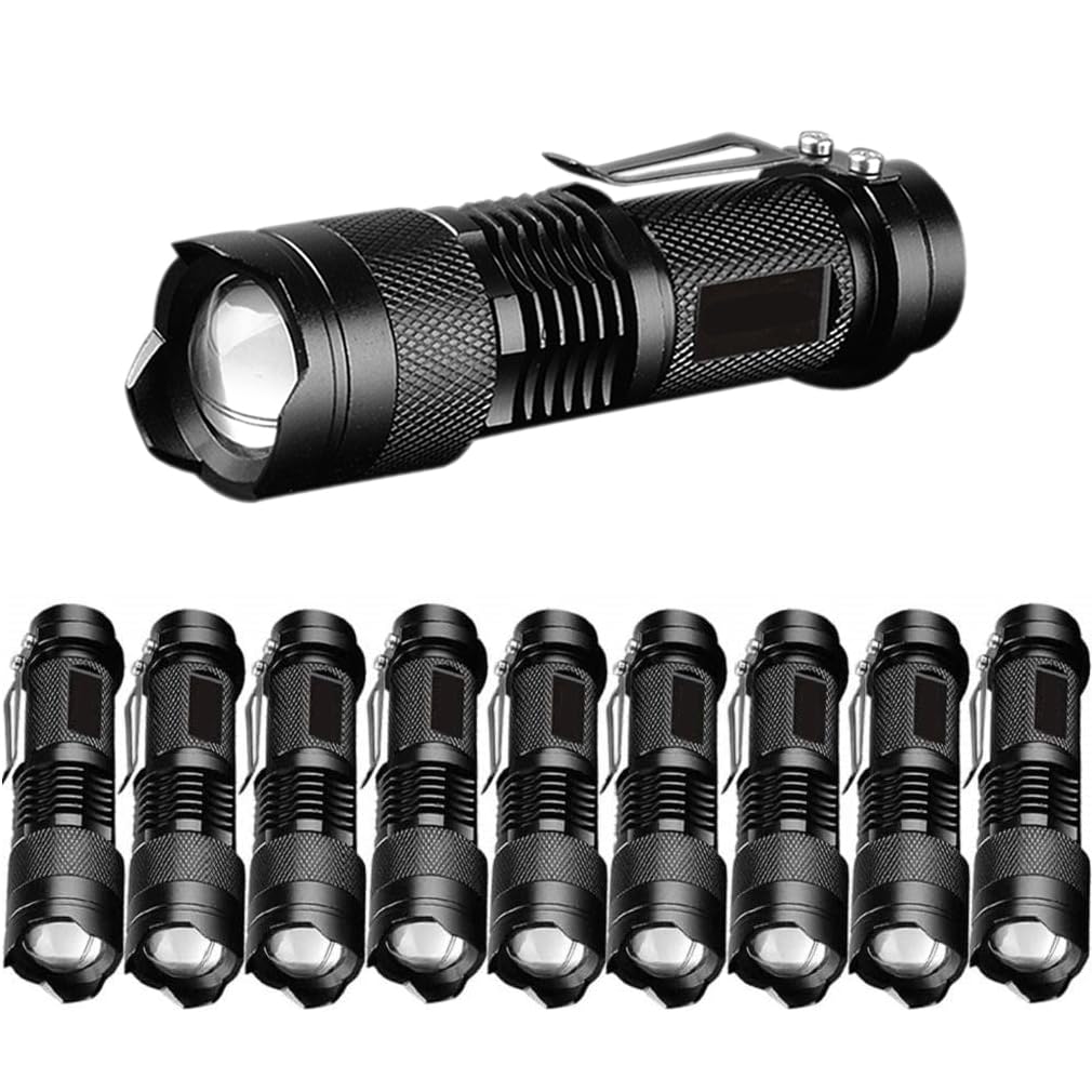 MVIOCS 10pack LED Flashlights High Lumens - Mini Flashlights for ...