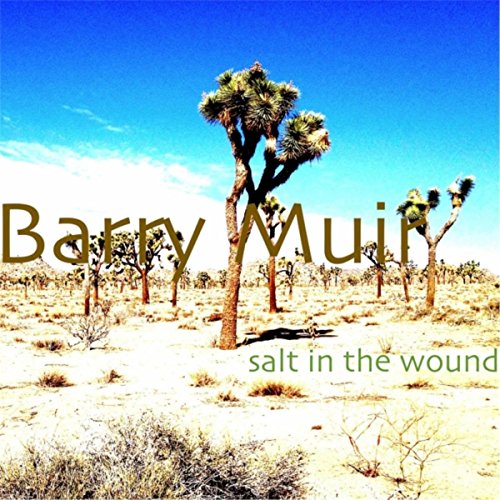 Play Salt in the Wound by Barry Muir on Amazon Music