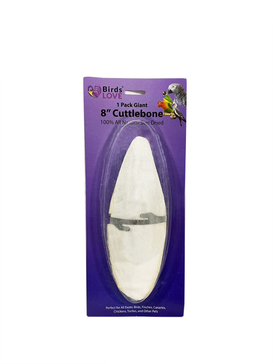 10 Best Large Toucan Bird Cages for Your Feathered Friend ...