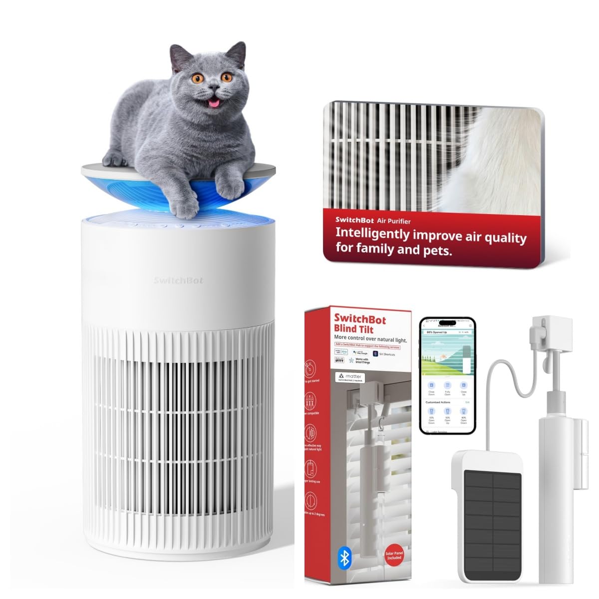 Amazon.com: SwitchBot Air Purifiers and Blind Tilt Motorized Blinds ...