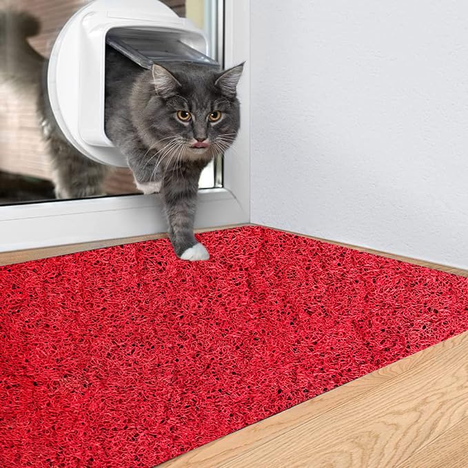 Buy CURSHEET HOMZ Cushion Noodle Rectangular Mat for Home Entrance ...