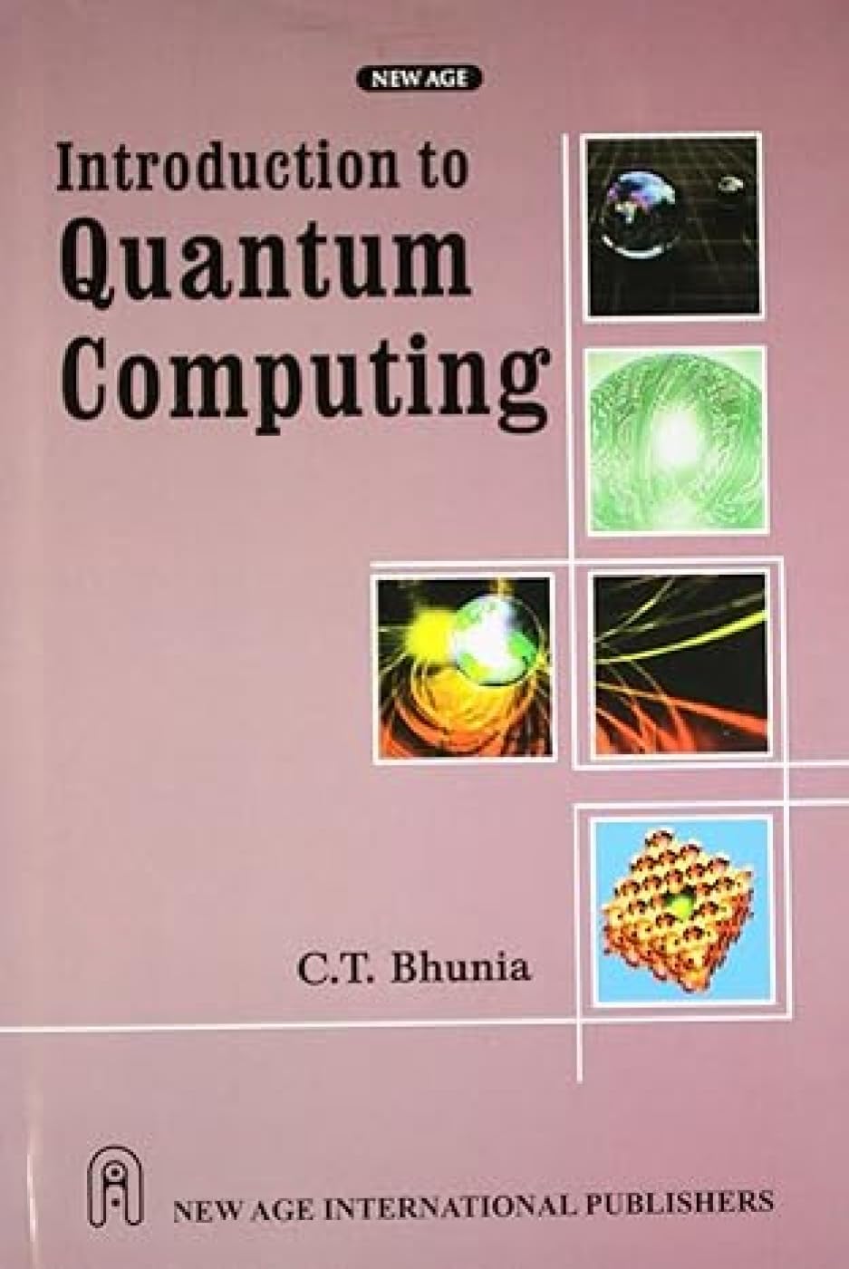 Buy Introduction to Quantum Computing Book Online at Low Prices in ...