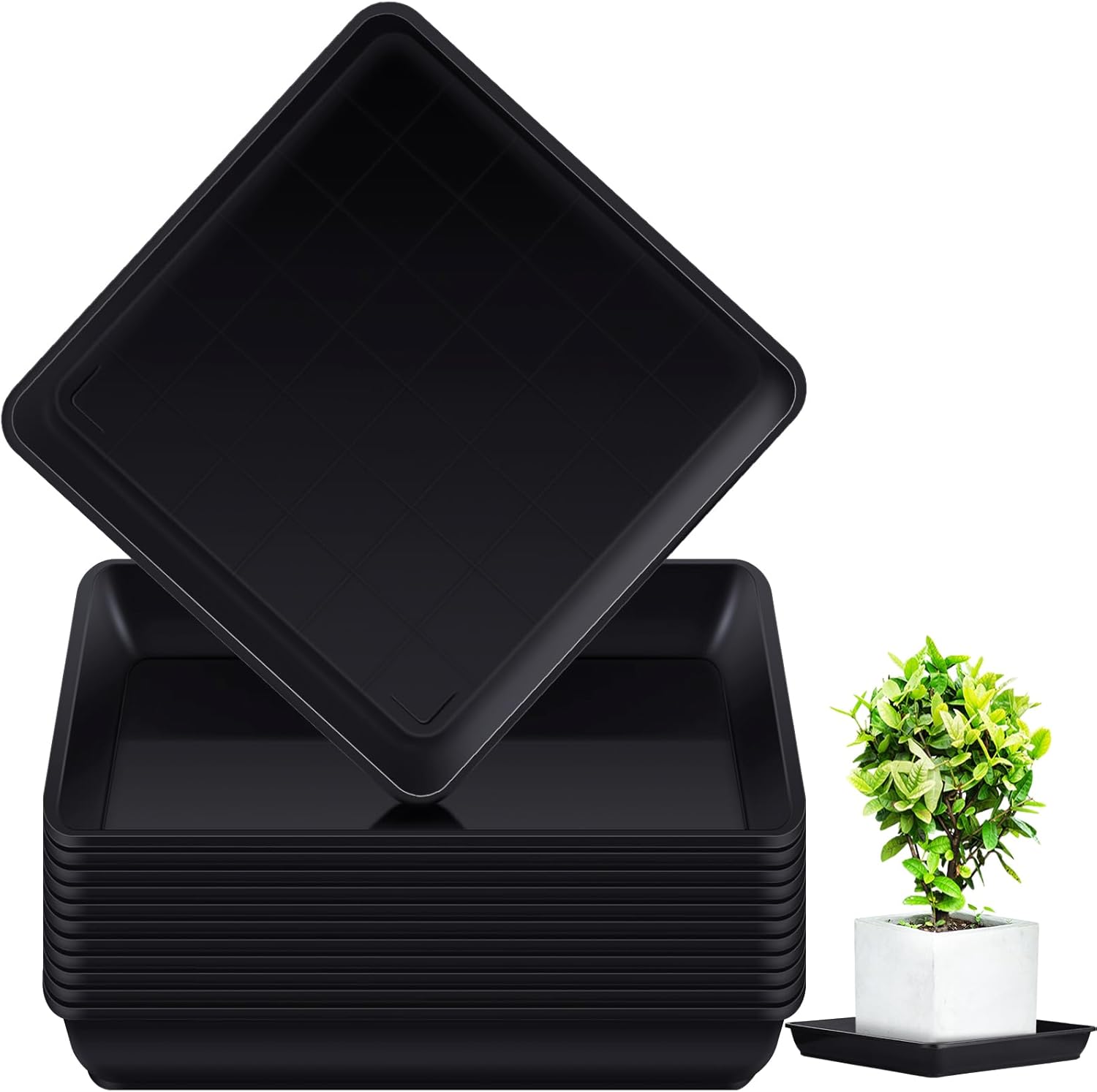 Amazon.com : Wenqik 12 Pieces Plastic Square Plant Saucer Large Square ...