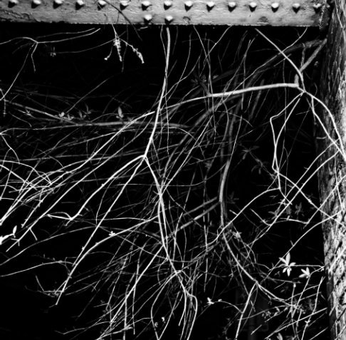 Louis Savage: Photographs: Louis Savage: 9781364435462: Amazon.com: Books