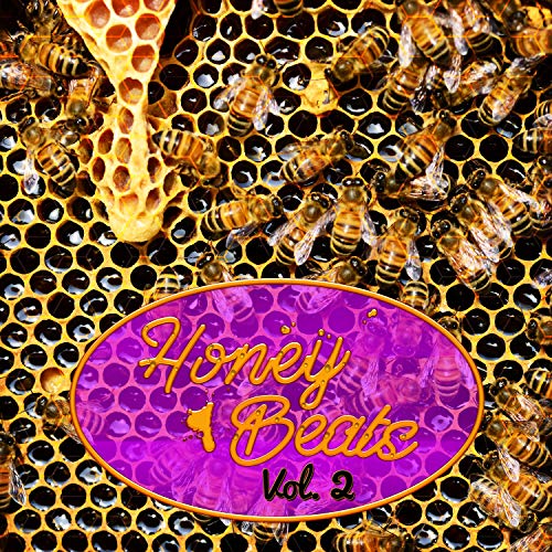 Amazon.com: Honey Beats, Vol. 2 : VARIOUS ARTISTS: Digital Music