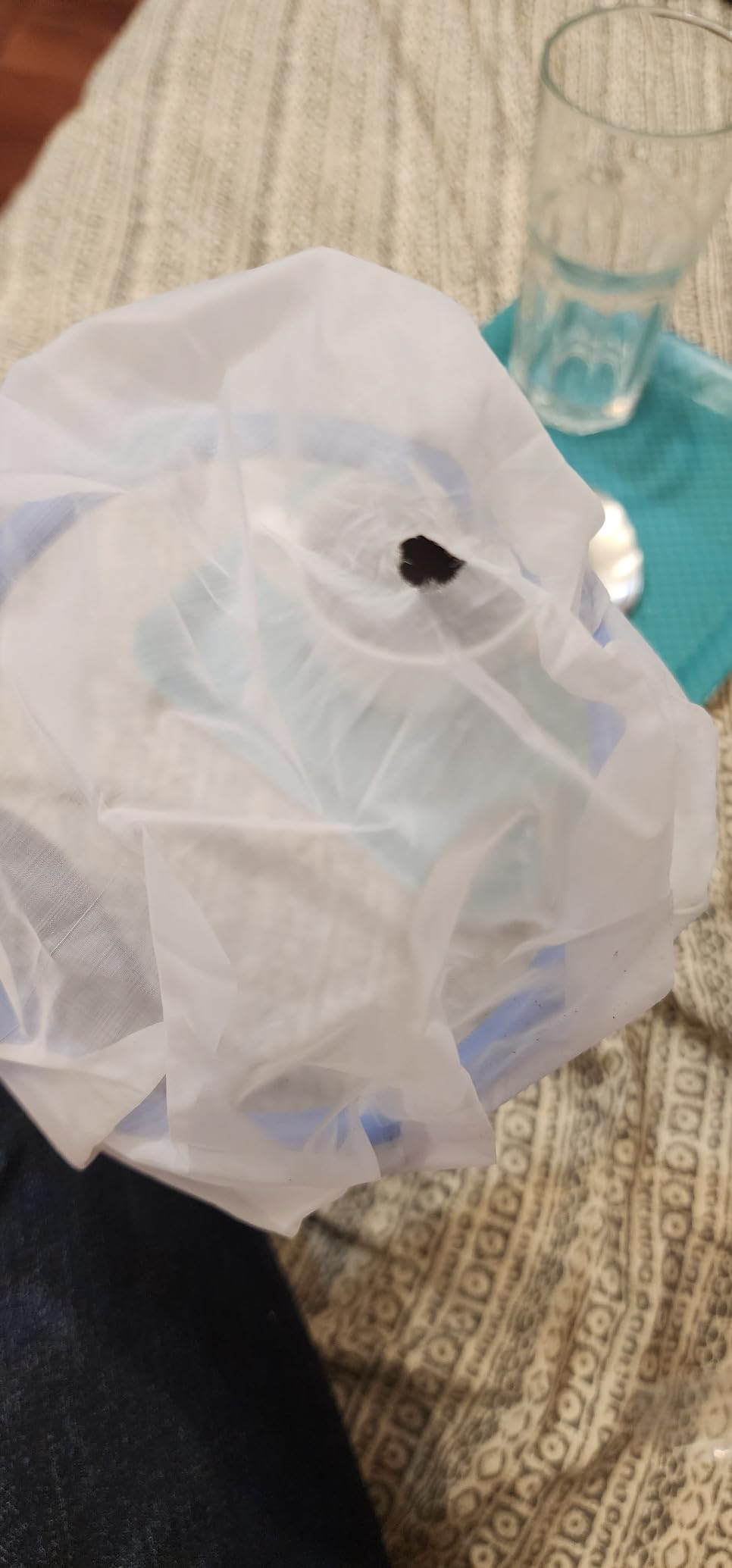 Artemia Live Separating/Filtering Net Set, Artemia Net for Professional ...