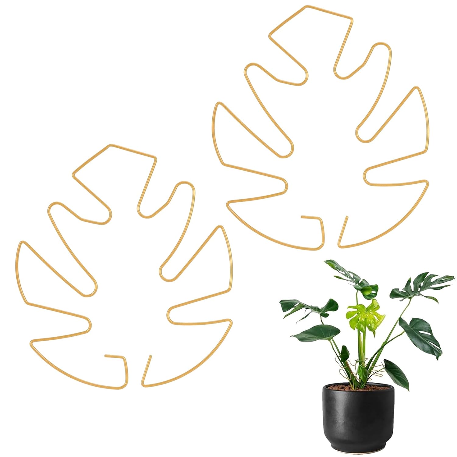 Monstera Plant Support, Plant Supports for Indoor Plants, 2 Pcs ...