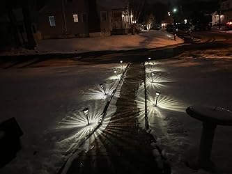 Twinkle Star 50 Lumens Solar Outdoor Lights 4 Pack Waterproof Solar ...