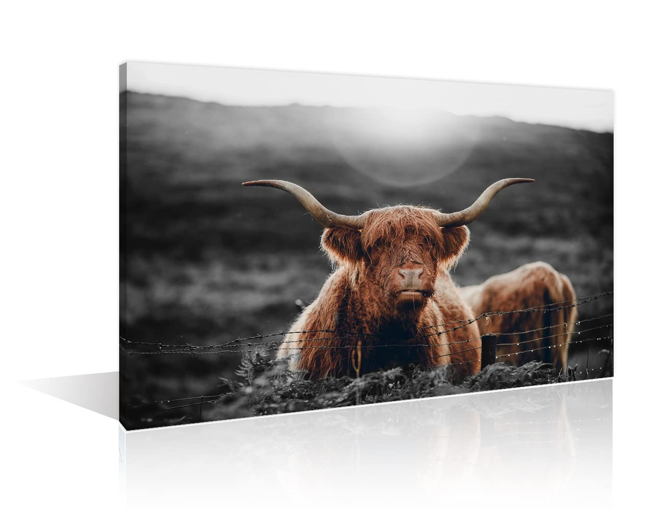Nature Scenery With Animals