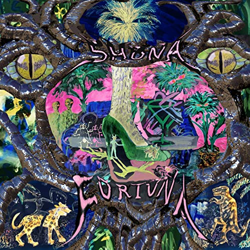 Play Fortuna by Shona on Amazon Music