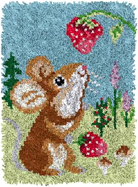 Amazon.com: Latch Hook Kits for Adults DIY Crochet Yarn Rugs Hooking ...