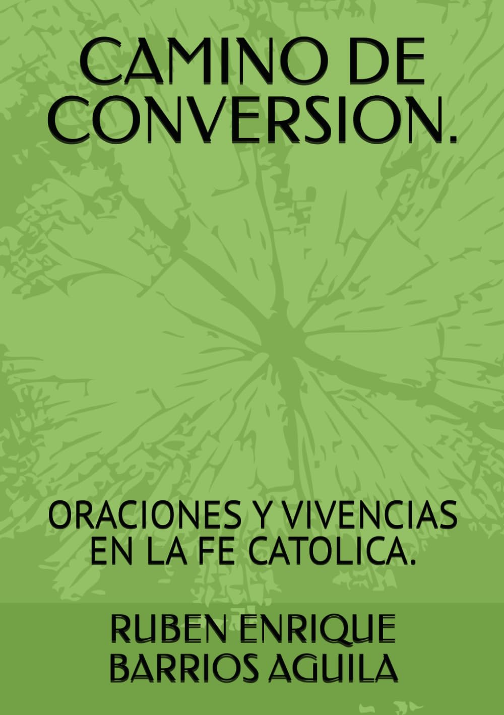 Amazon.com: CAMINO DE CONVERSION.: ORACIONES Y VIVENCIAS EN LA FE ...