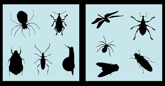 Amazon.com : Auto Vynamics - STENCIL-ANIMALS-INSECTSET01-10 - Detailed ...
