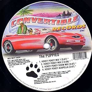 Hokey Pokey: Puppies: Amazon.it: CD e Vinili}