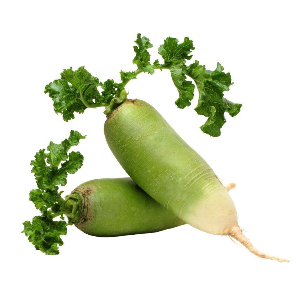 Green Daikon