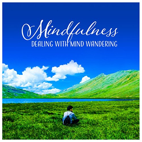 Amazon.com: Mindfulness (Dealing with Mind Wandering - Achieve Better ...