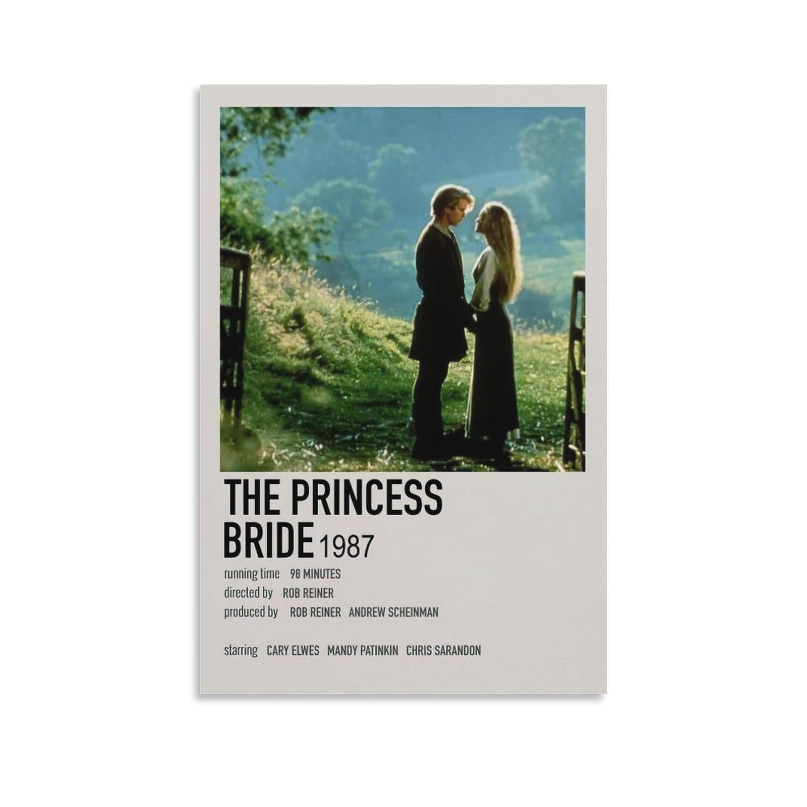 Princess Bride Movie Poster