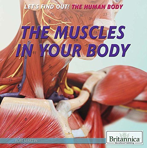 The Muscles in Your Body (Let's Find Out!, 6): Martin, Bobi ...