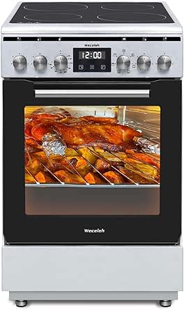 Amazon.com: 20 Inch Electric Range Oven Freestanding Electric Cooktop ...