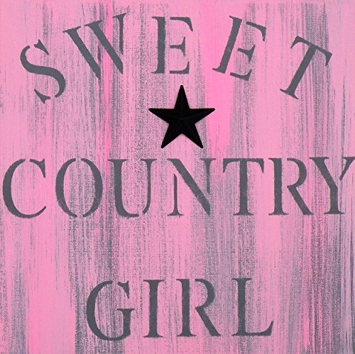 Amazon.com: Sweet Country Girl Rustic 12x12 Canvas Painting : Handmade ...