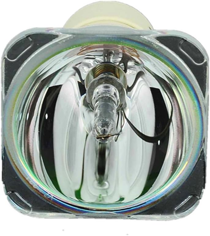 Amazon.com: Top Lamp Original Bare Bulb EC.JC900.001 Lamp for Acer ...