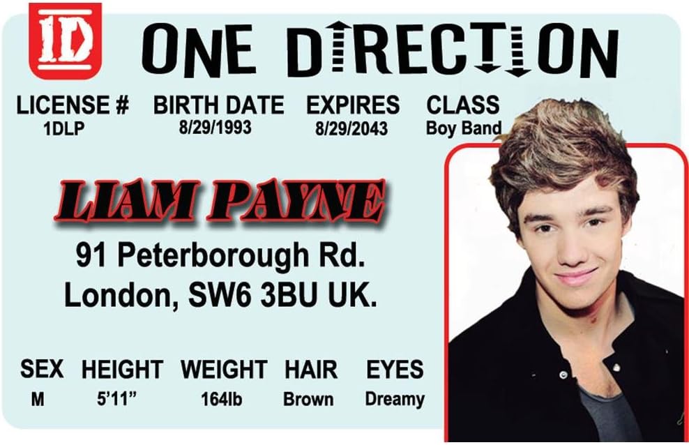 Amazon.com: Signs 4 Fun Parody Driver’s License | Harrison Ford ID ...