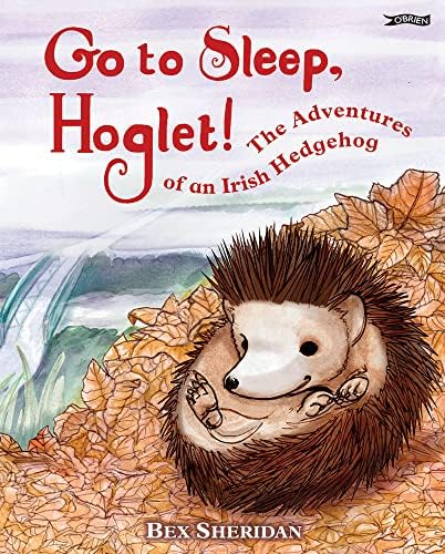Go To Sleep, Hoglet : Sheridan, Bex, Sheridan, Bex: Amazon.co.za: Books