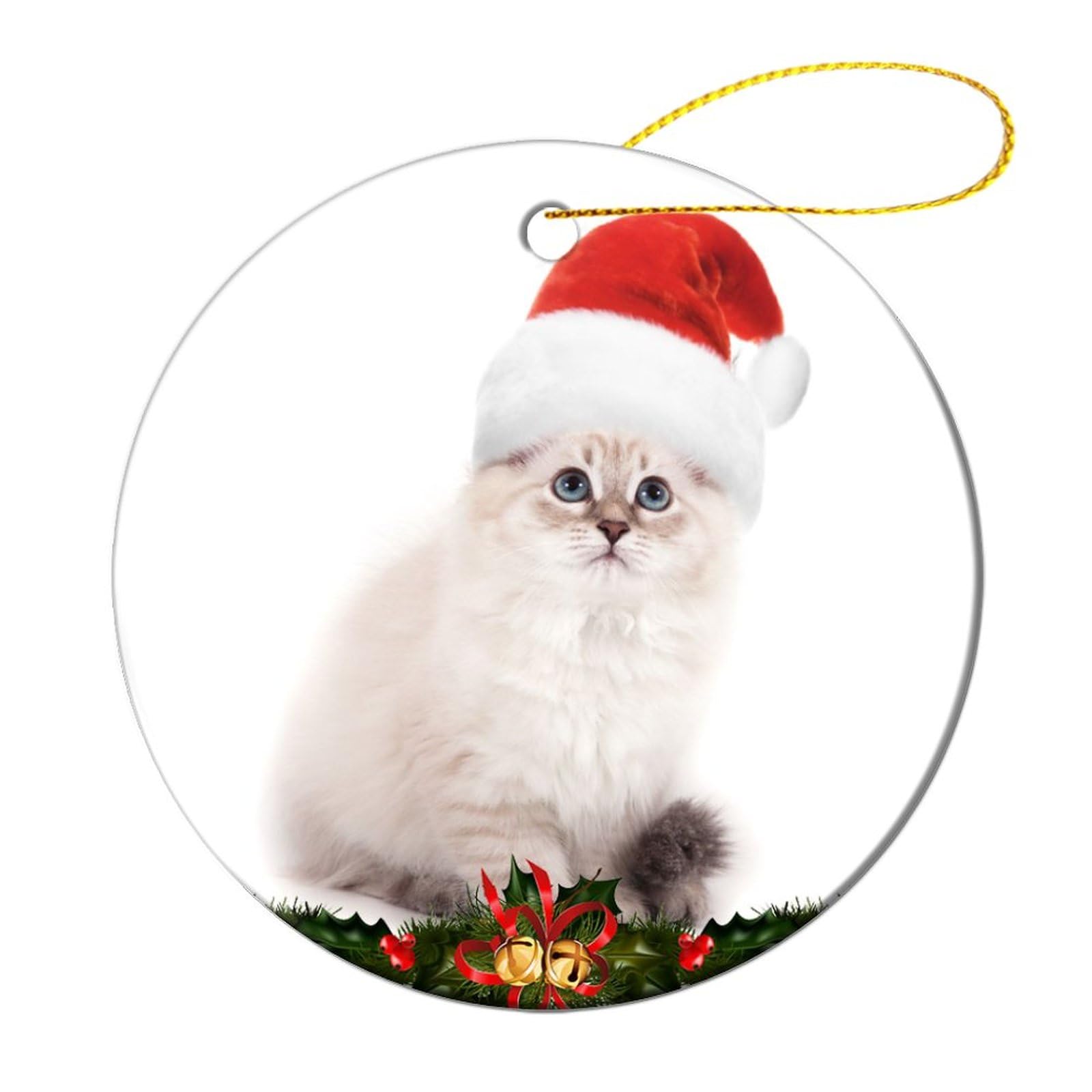 White Cat With Bell Ribbon
