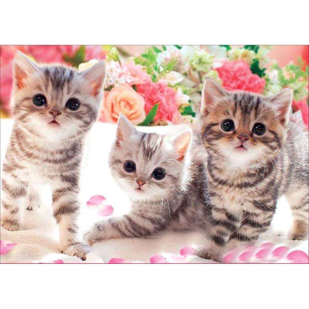 Husqvarna Viking 4D Embroidery Extra | Free Embroidery Patterns