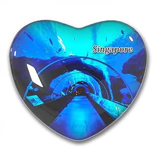 Amazon.com: Singapore Sentosa Island S.E.A. Aquarium Fridge Magnets ...