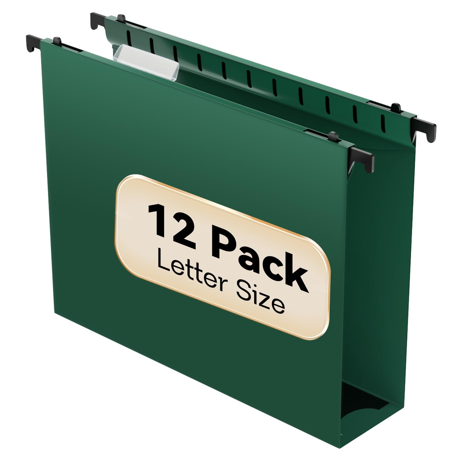 Amazon.com : Nordun Plastic Hanging File Folder Extra Capacity,12 Pack ...