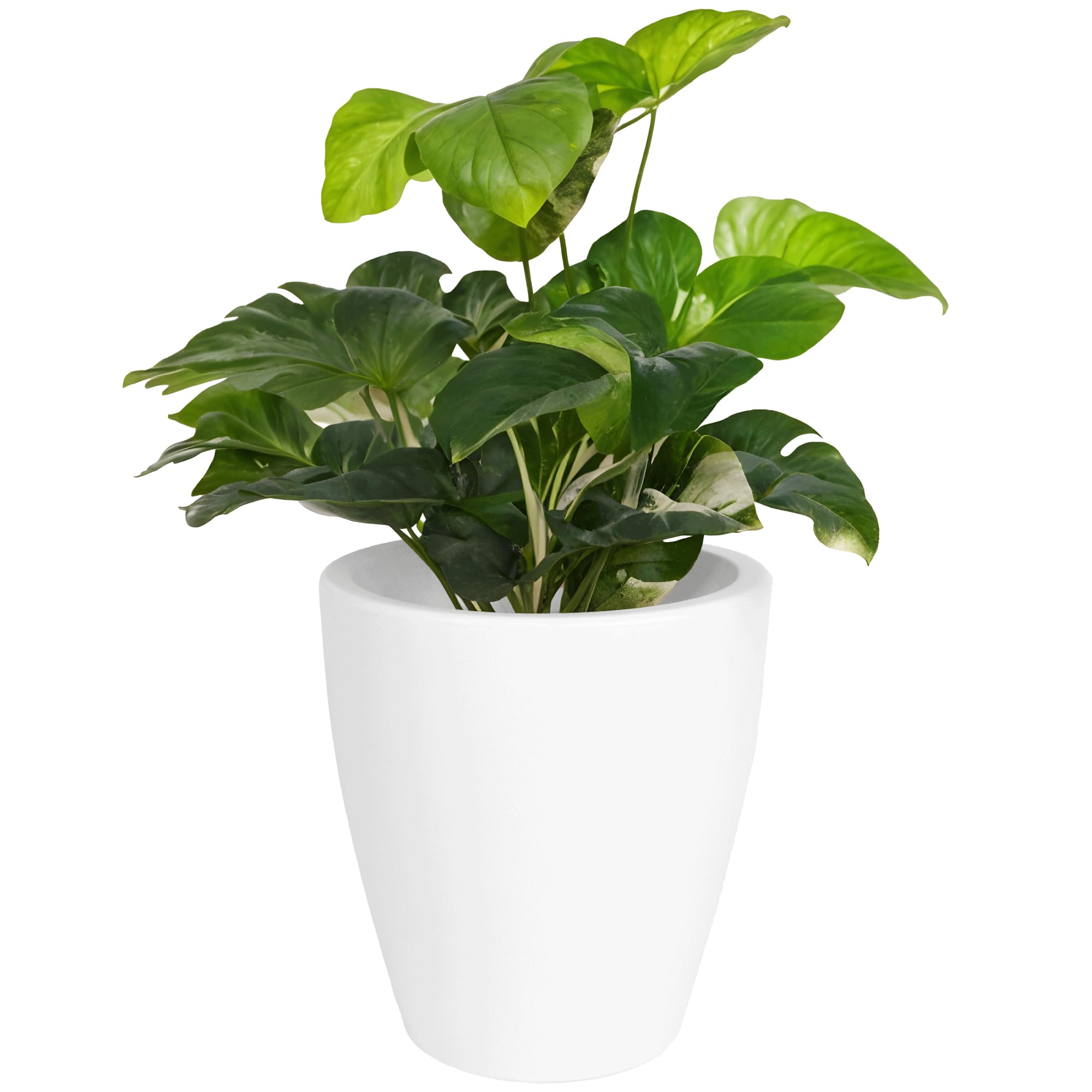 Elly Décor 12 inch Garden Planter Pot with Drainage, Large Round Modern ...