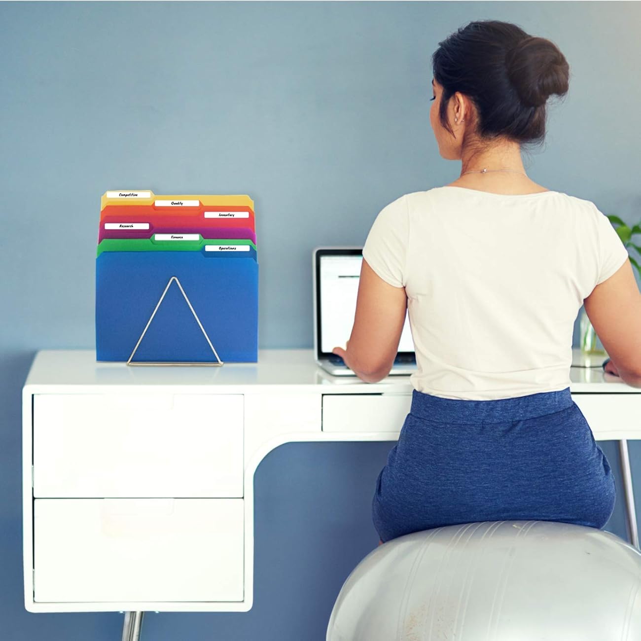 Snapklik.com : Dunwell Plastic Colored File Folders