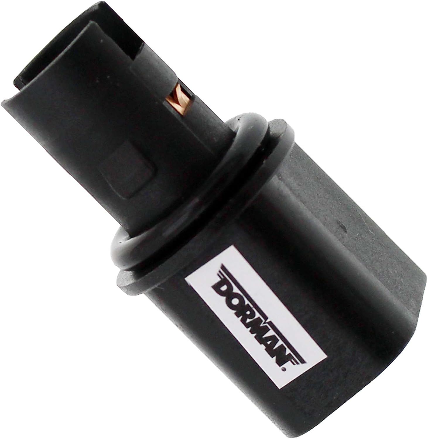 Amazon.com: Dorman 645-159: Side Marker Light Socket : Automotive
