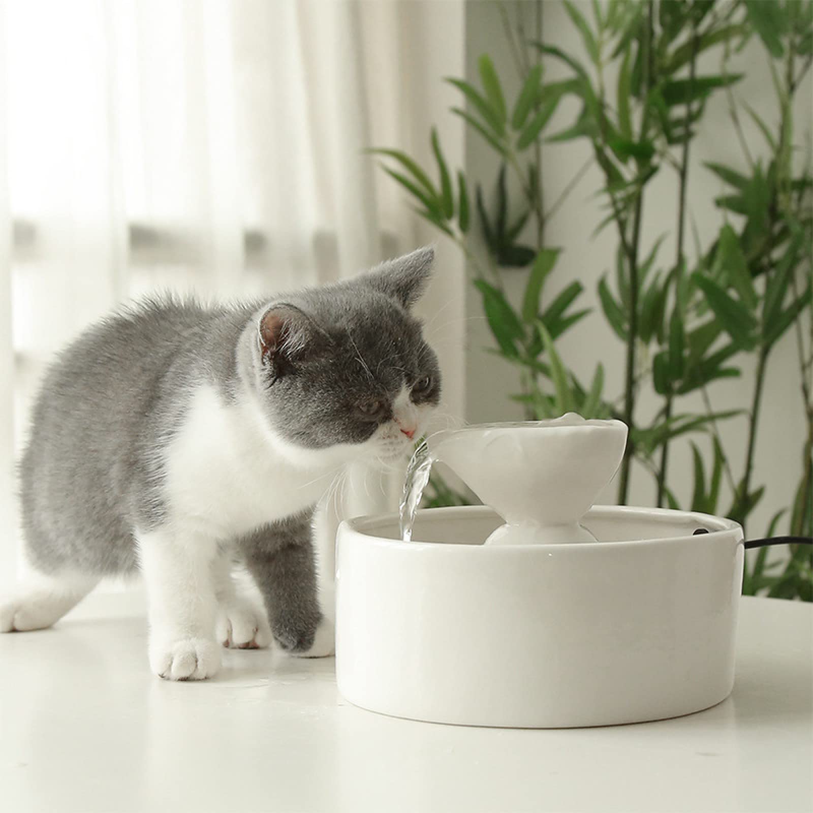Pictures Of Cats Out Of Water For Fountains Pottery Cat Taps Ceramic