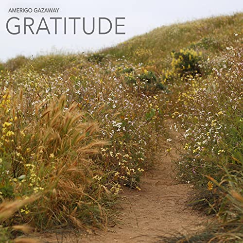 Amazon.com: Gratitude : Amerigo Gazaway: Digital Music