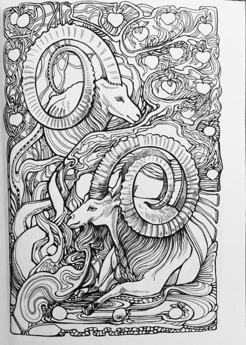 Amazon.com: Manic Botanic: Zifflin's Coloring Book: 9781523692057 ...