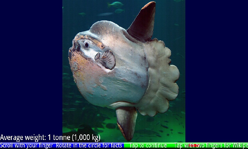 How Heavy Am I? 1:Amazon.com:Appstore for Android