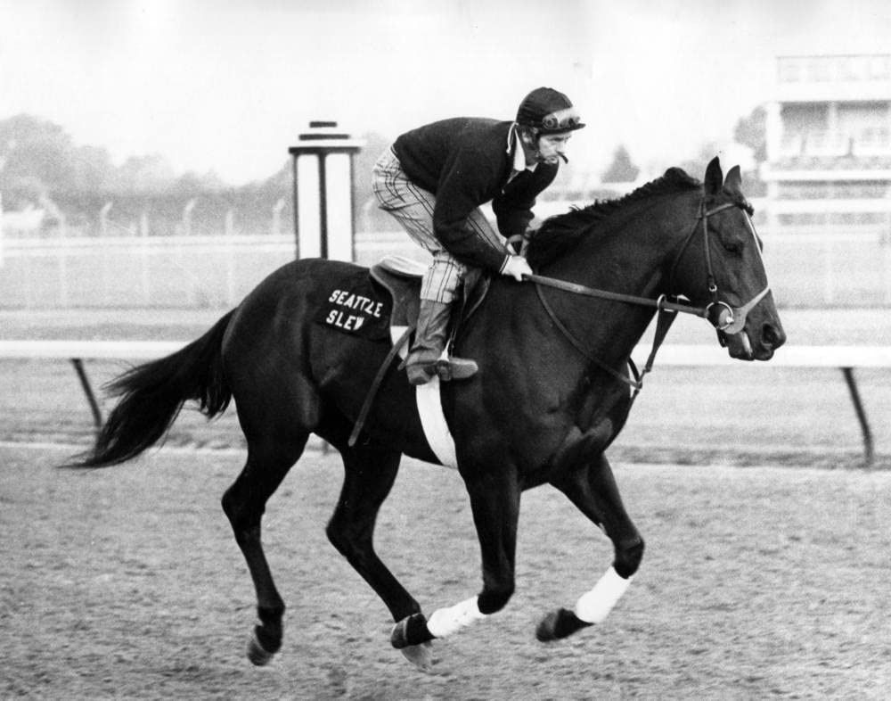 Race Horse Art